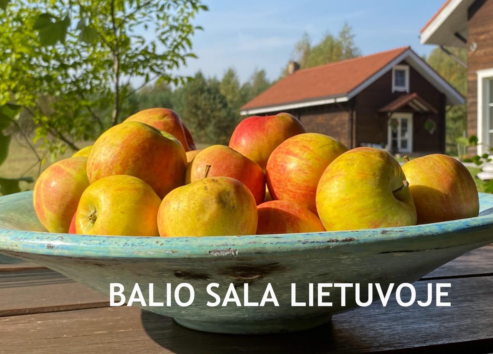 Balinėtojai || Balio sala || Atostogos Balyje || Kelionė į Balio salą